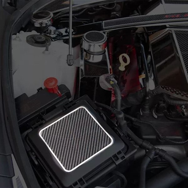 American Car Craft® 123104 - Carbon Fiber Fuse Box Top Plate