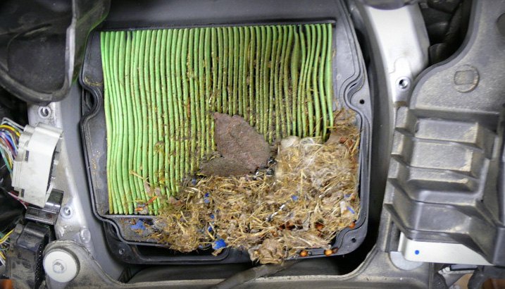 Replacement vs Performance Parts | Air Filters