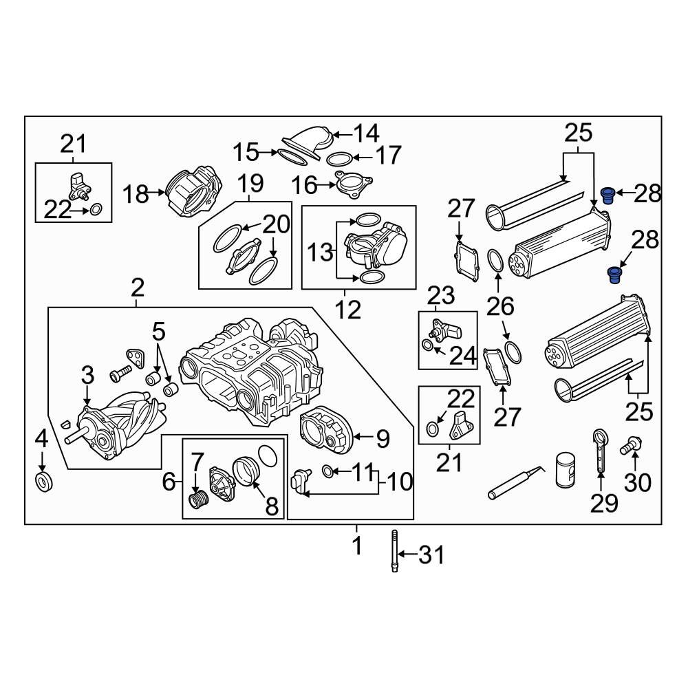 Audi OE 06E127535B - Intercooler Drain Plug