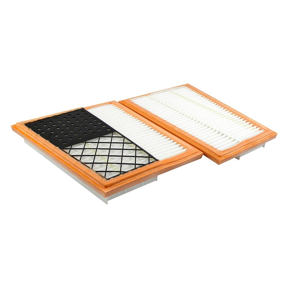 Baldwin Filters® PA10295 - Air Filter Element