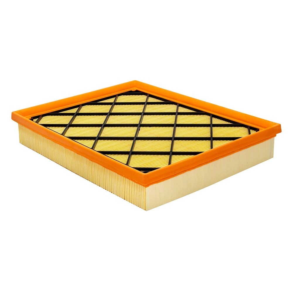 Baldwin Filters® PA10436 - Air Filter Element