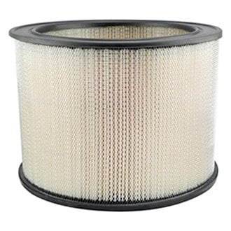 Baldwin Filters® PA638 - Air Filter Element