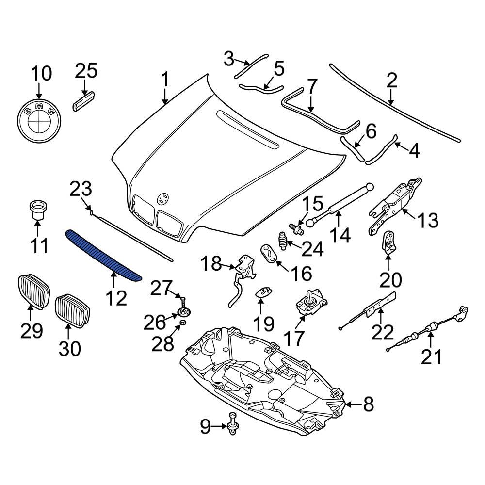 BMW OE 51117030594 - Front Lower Grille