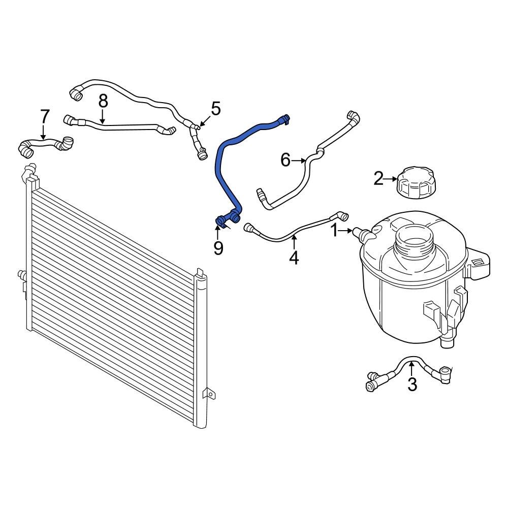 BMW OE 17128602613 - Lower Radiator Coolant Hose