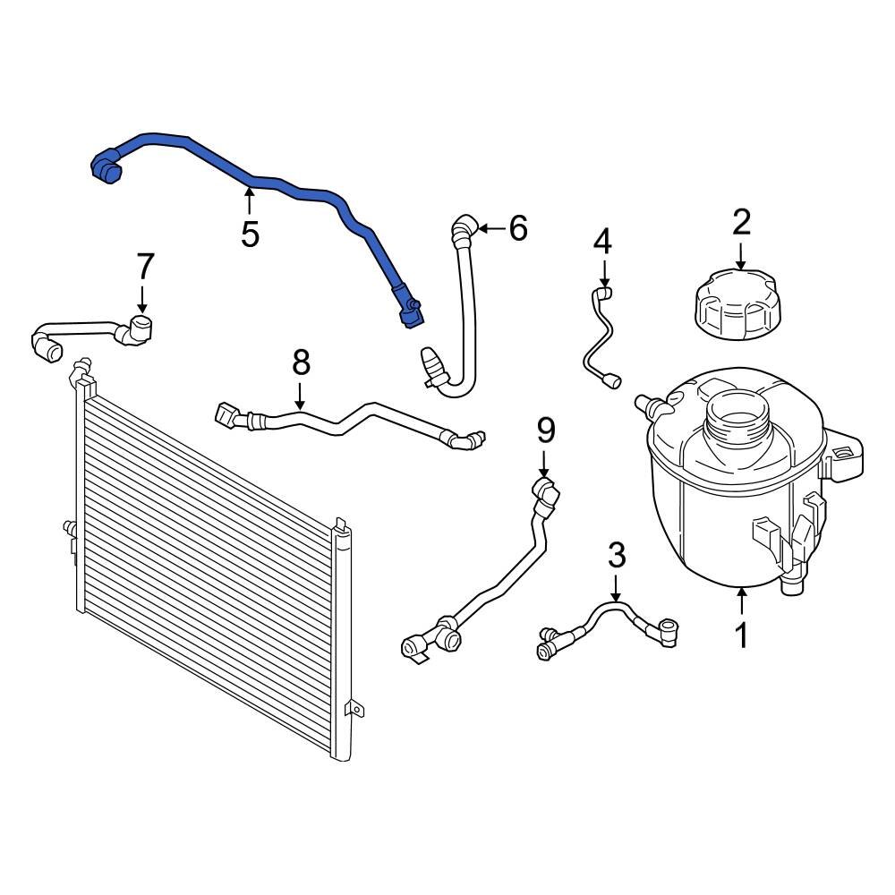BMW OE 17128602613 - Lower Radiator Coolant Hose