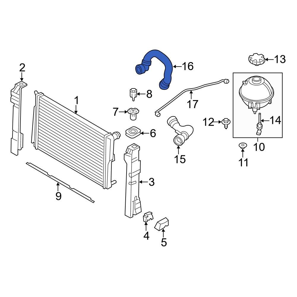 BMW OE 17127646151 - Lower Radiator Coolant Hose