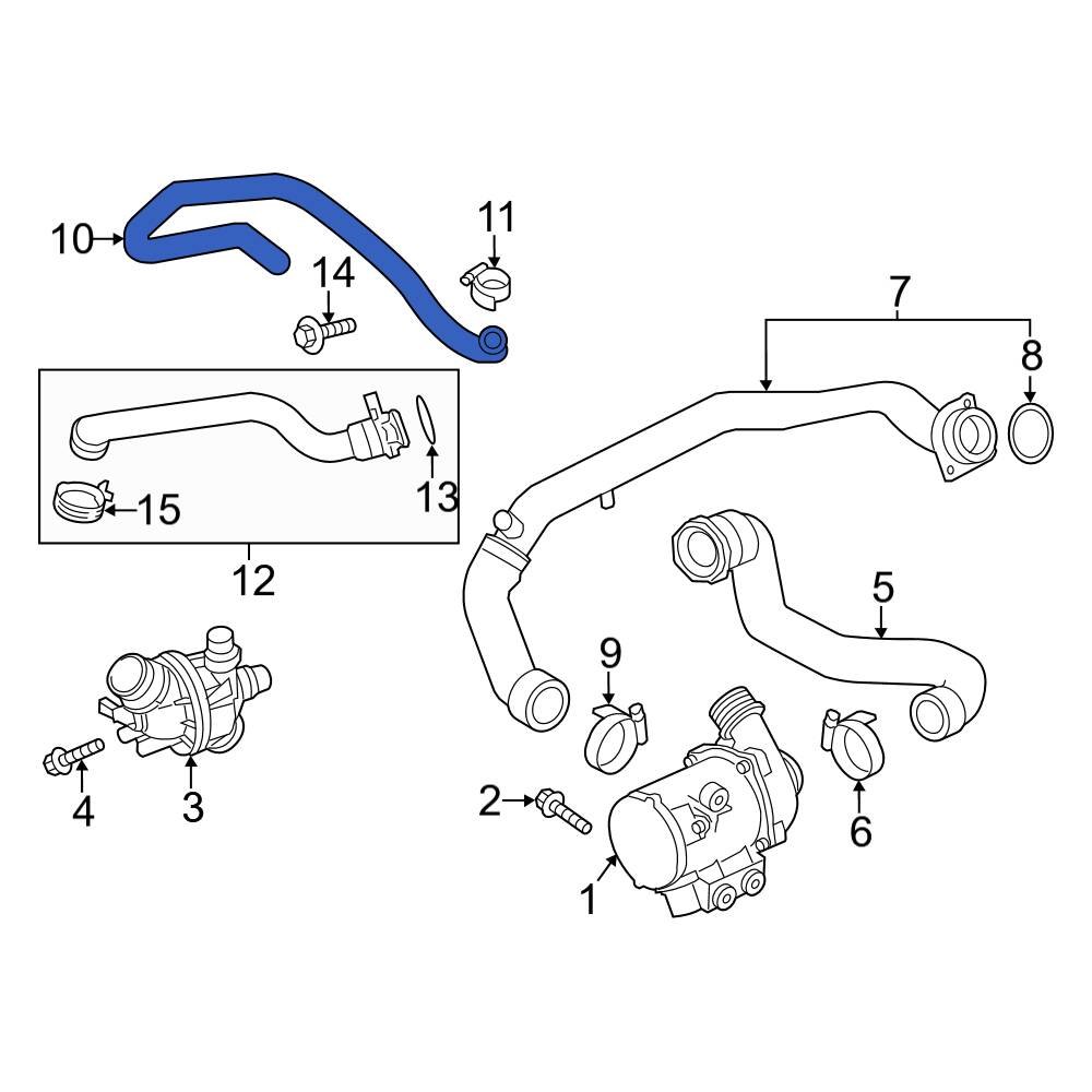 BMW OE 17127646151 - Lower Radiator Coolant Hose