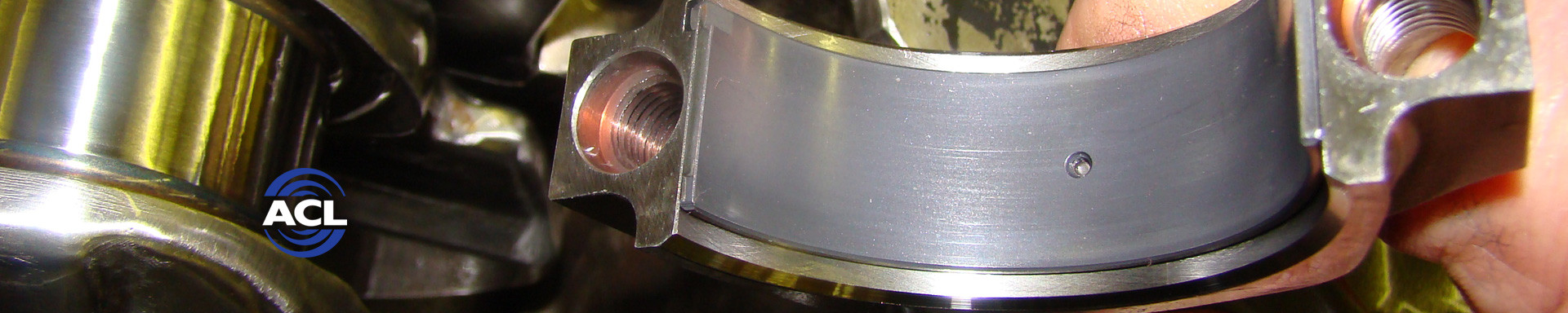 ACL™ - Race Bearings & Performance Engine Parts | CARiD
