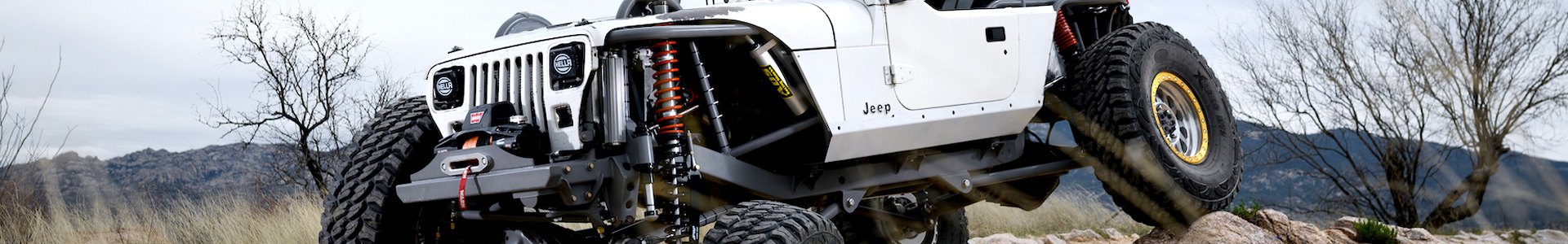 Arizona Desert Shocks Products | CARiD