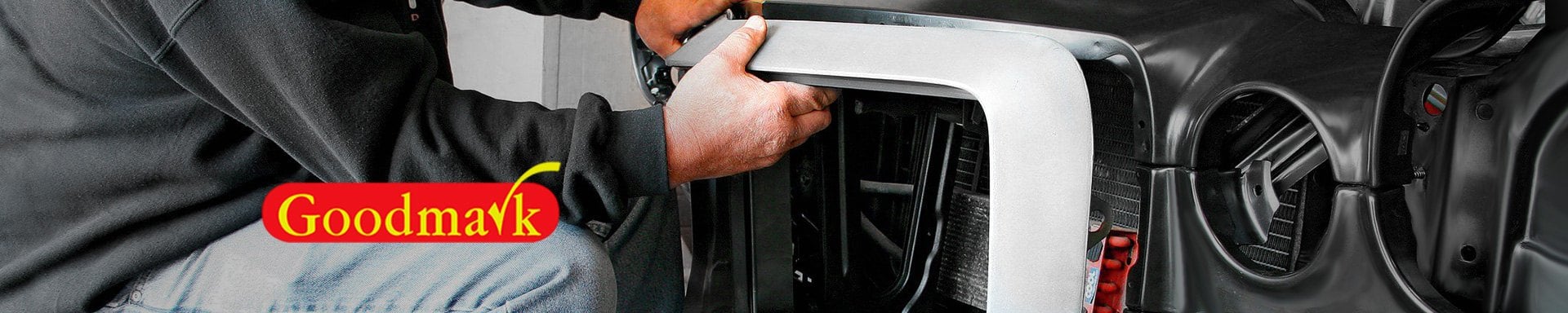 Goodmark™ Emblems & Logos | CARiD