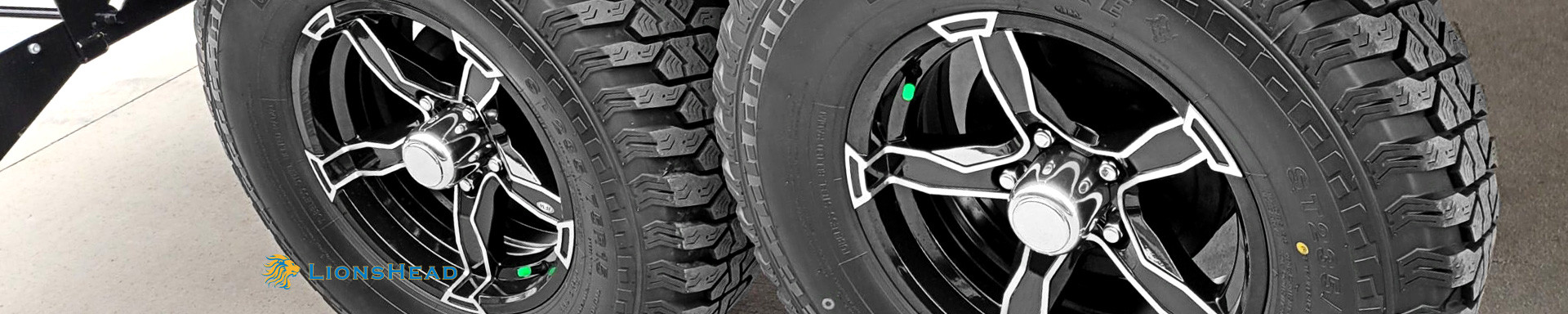LionsHead™ Wheel Center Caps | CARiD