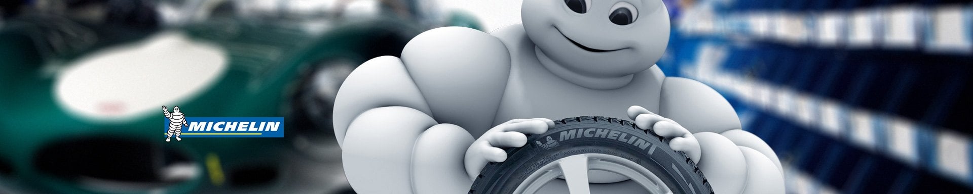 Michelin™ - Tires | CARiD