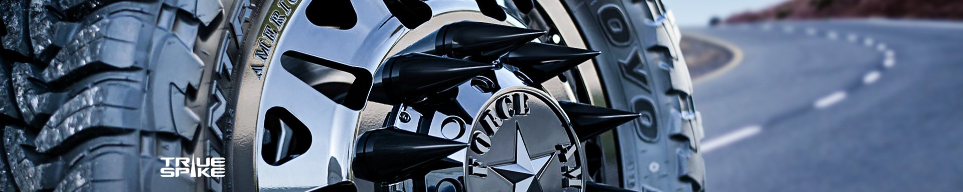 True Spike™ License Plates & Frames | CARiD