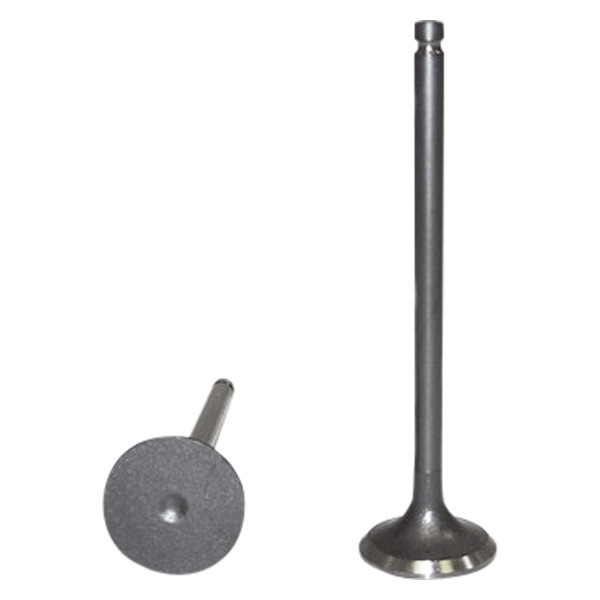 DNJ® EV528 - Exhaust Valve