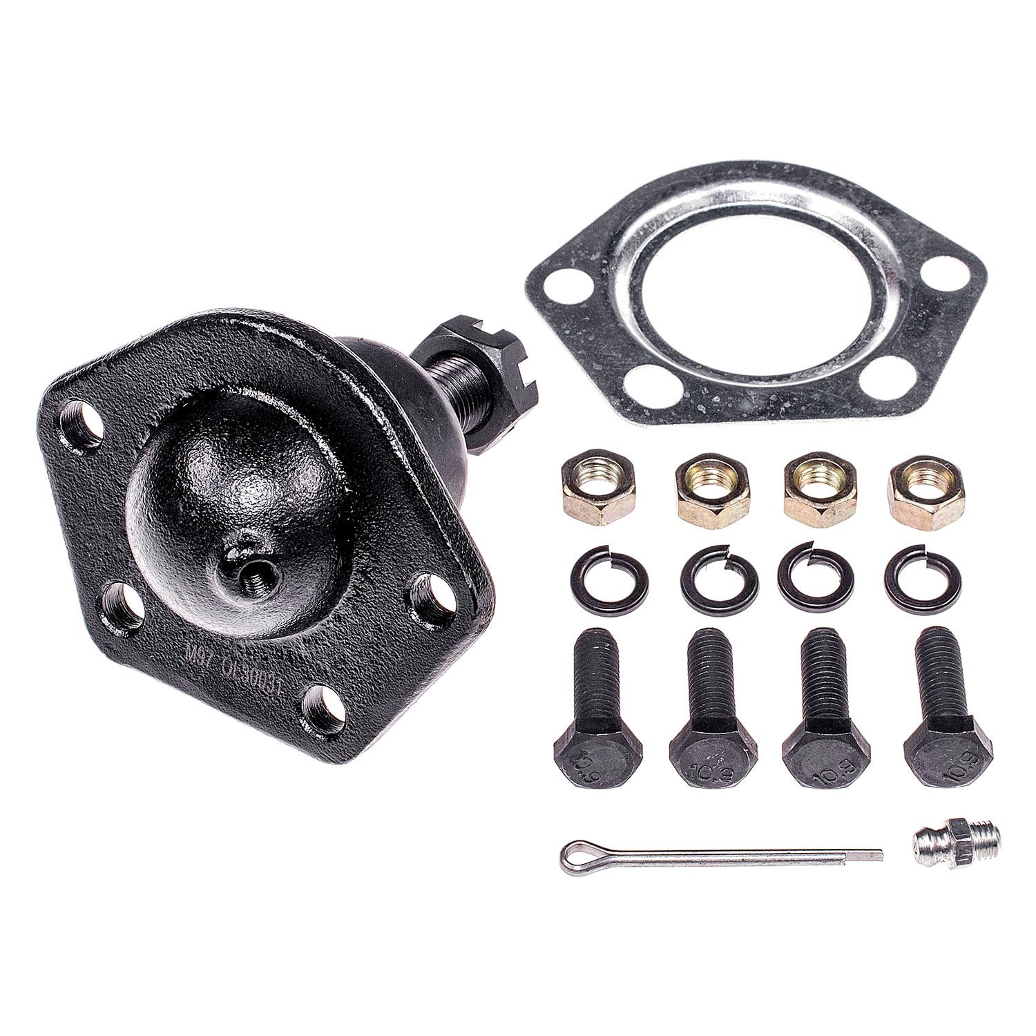 Dorman® B5269PR - Front Lower Ball Joint