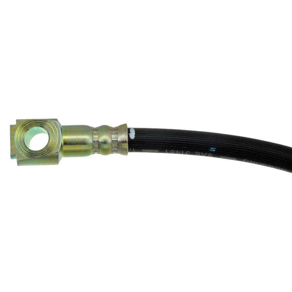 Dorman® H381064 - Rear Passenger Side Brake Hydraulic Hose