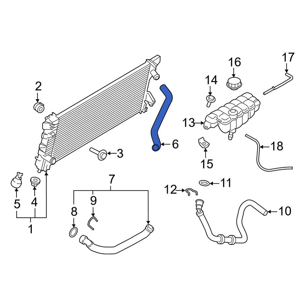 Ford OE FL3Z8260B - Upper Radiator Coolant Hose