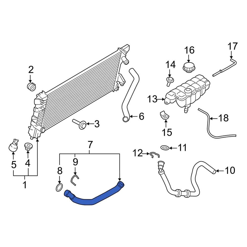 Ford OE FL3Z8286B - Lower Radiator Coolant Hose