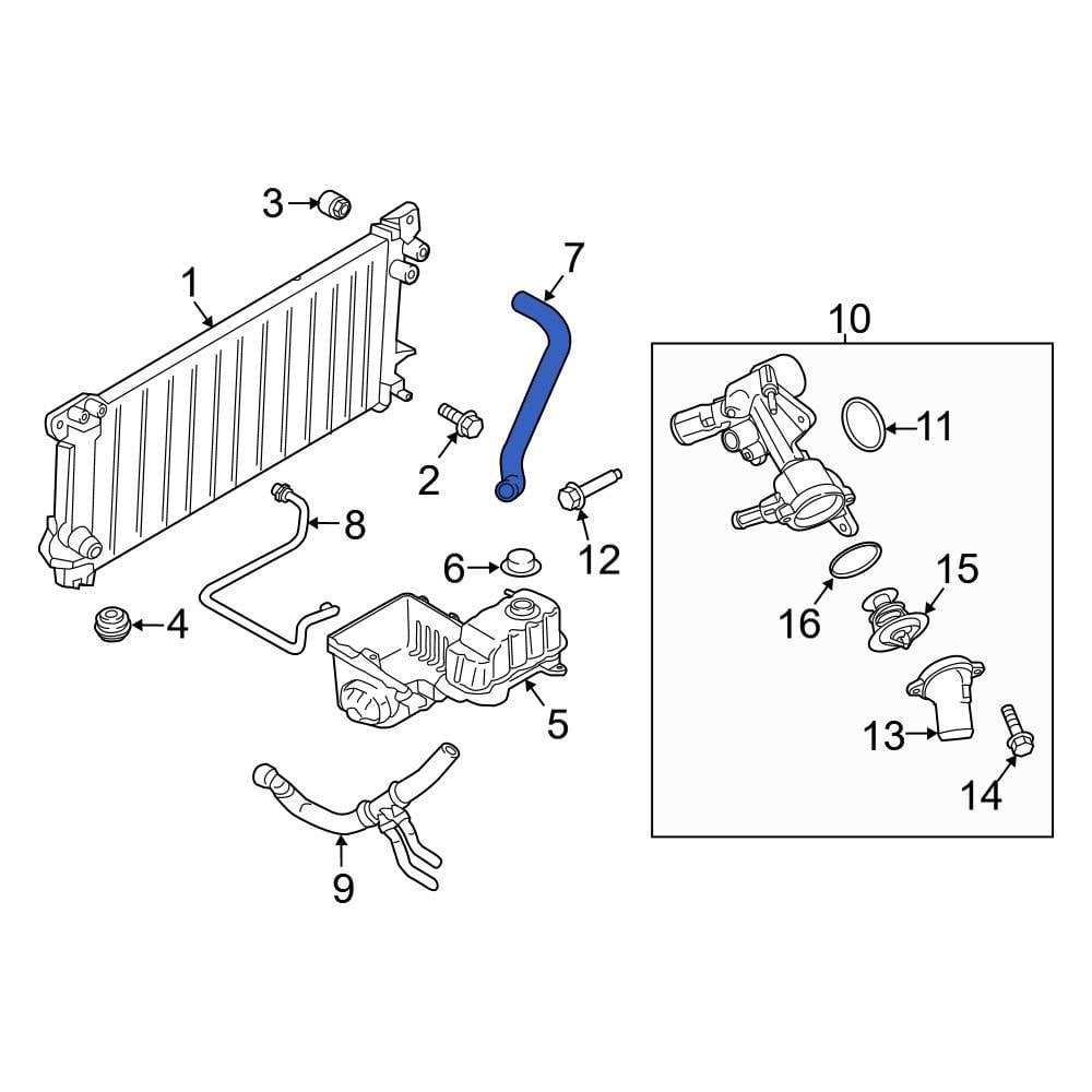 Ford OE FL1Z8260B - Upper Radiator Coolant Hose