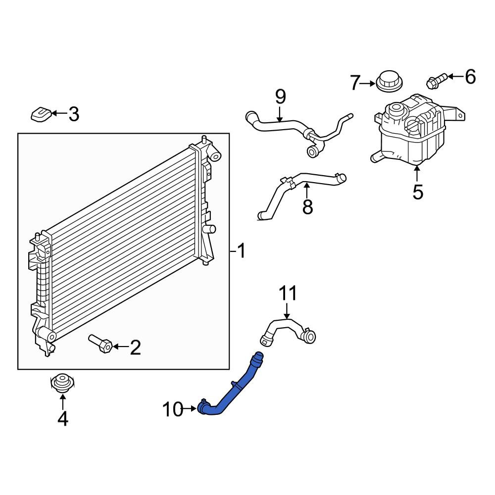 Ford OE DB5Z8260E - Upper Radiator Coolant Hose