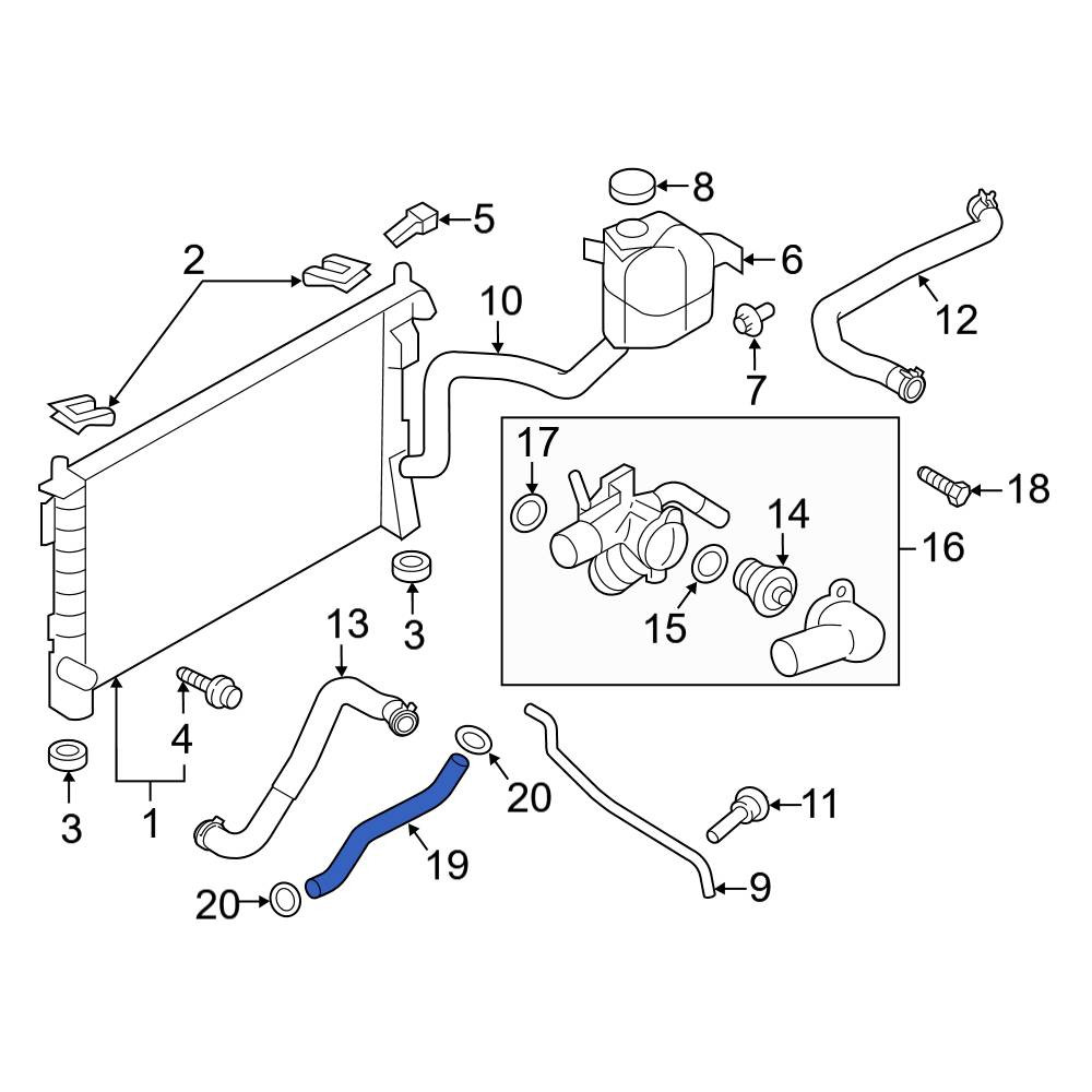Ford OE AT4Z8260A - Upper Radiator Coolant Hose