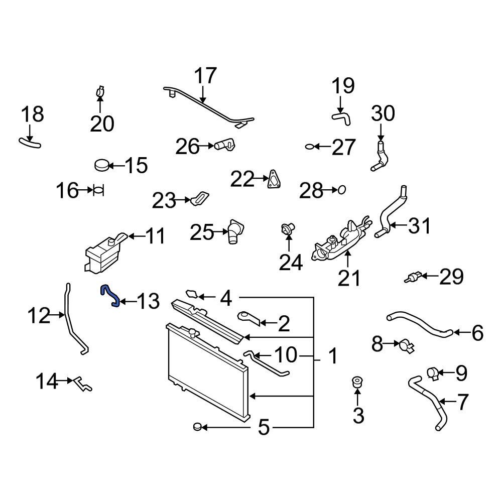 Hyundai OE 254512B100 - Upper Engine Coolant Reservoir Hose