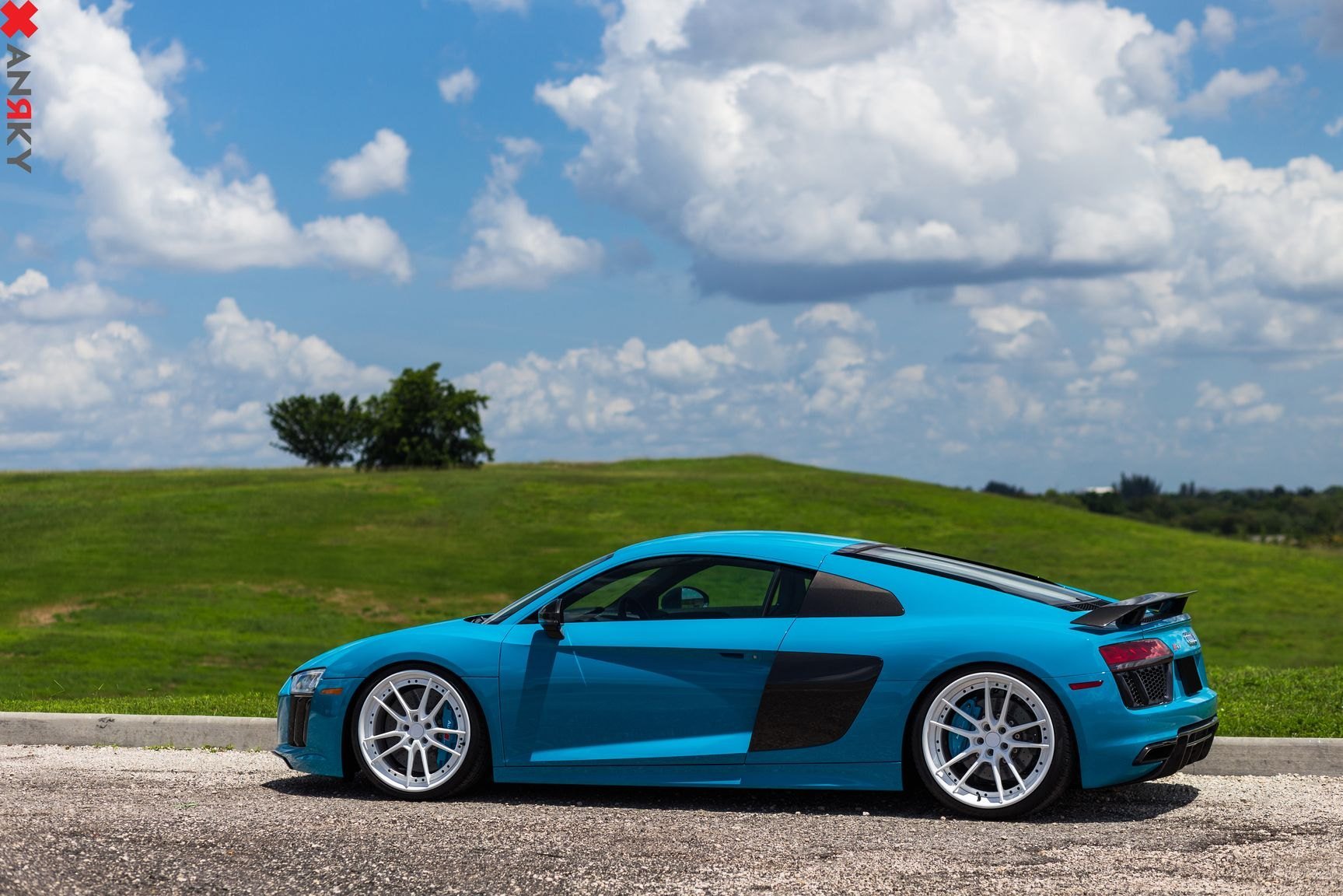 Baby Blue Audi R8 Showing Off Custom White Anrky Wheels | CARiD.com Gallery