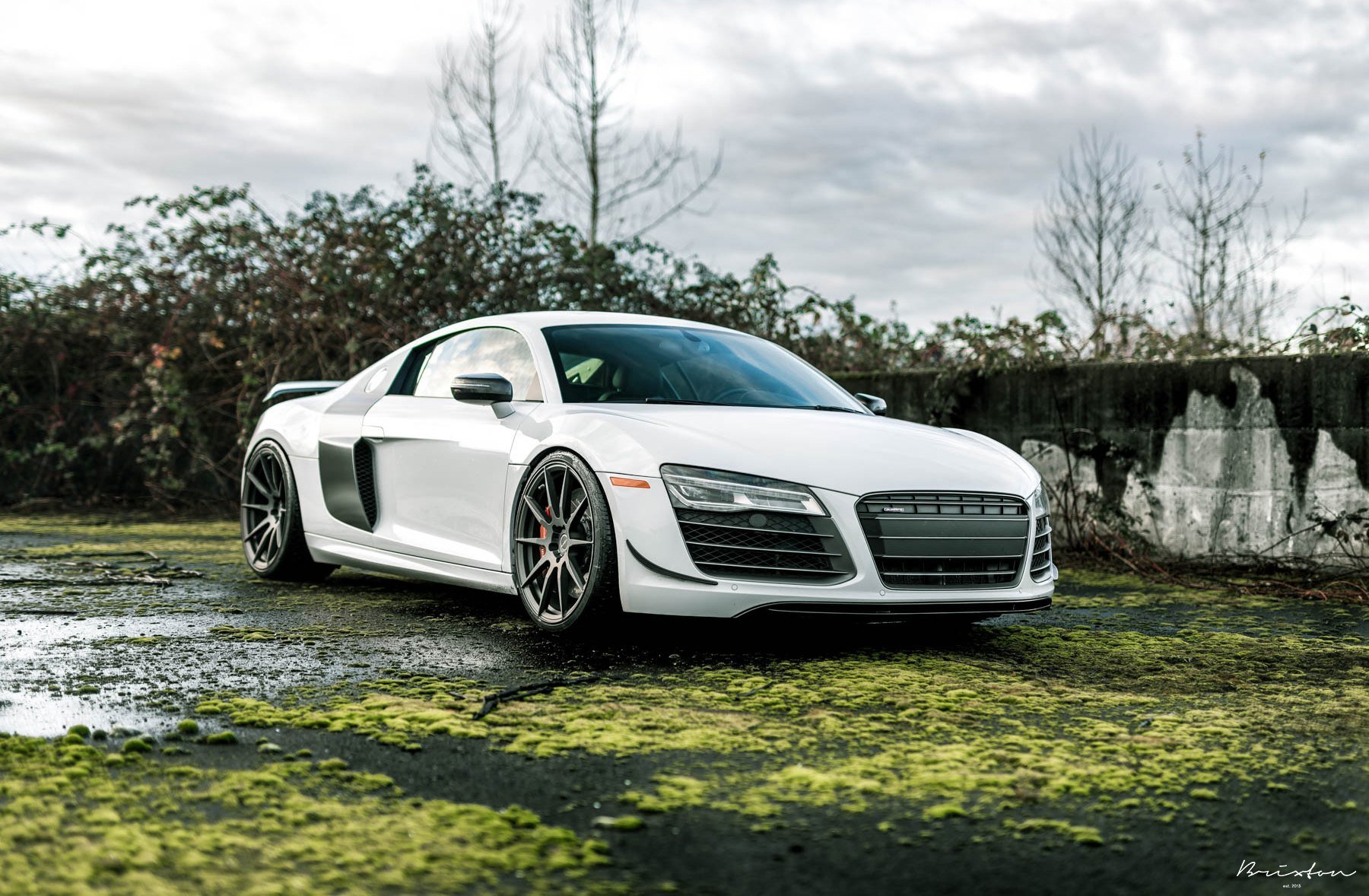 Satin Black Rims Give White Audi R8 a Touch of Style | CARiD.com Gallery