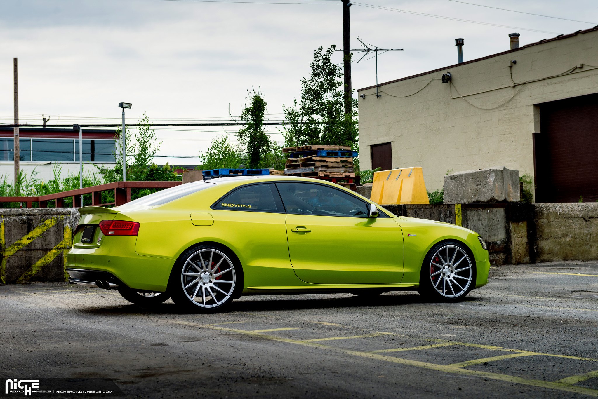 Snake Green Audi S5 Rolling on Niche Surge Wheels | CARiD.com Gallery