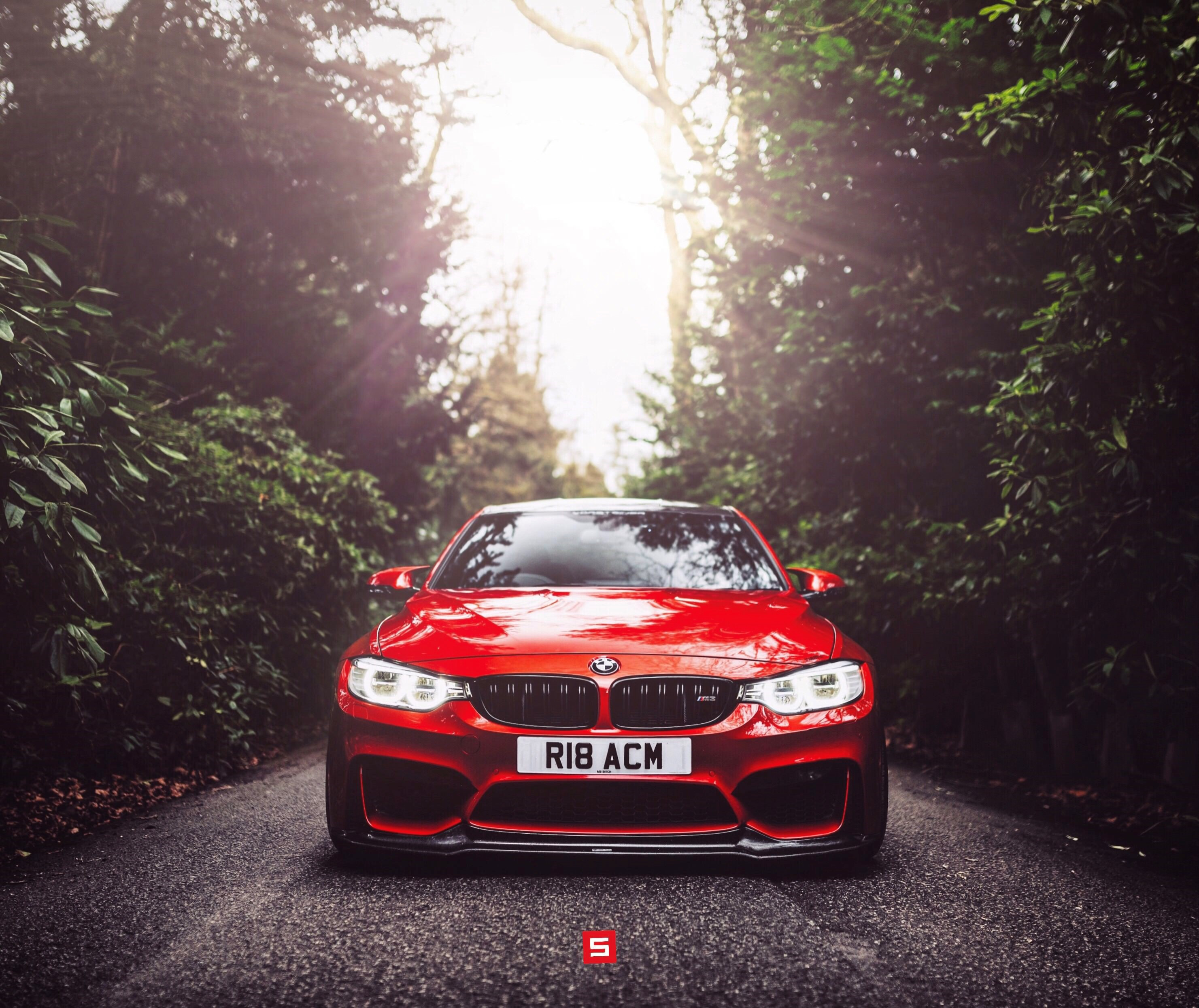 Peculiar Red Paint of Bespoke BMW 3-Series Magnitizes the Crowd | CARiD ...