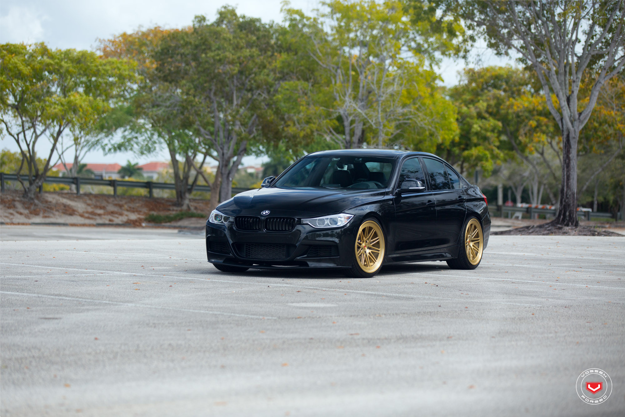 Instant Attention Stealer Black on Gold BMW 3-Series | CARiD.com Gallery