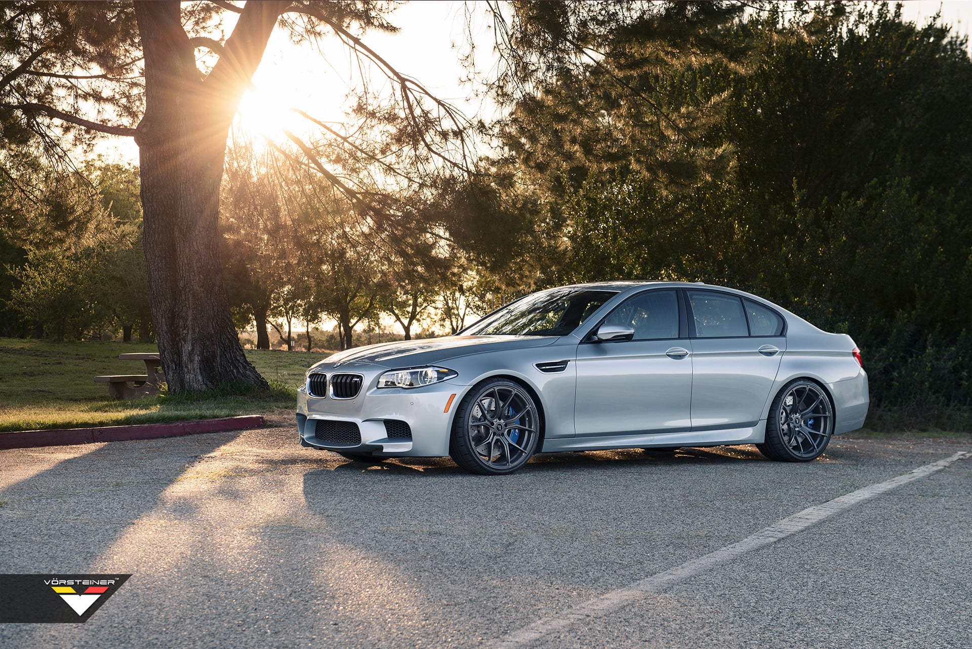 Blending In and Standing Out Customized Silver BMW 5-Series | CARiD.com ...