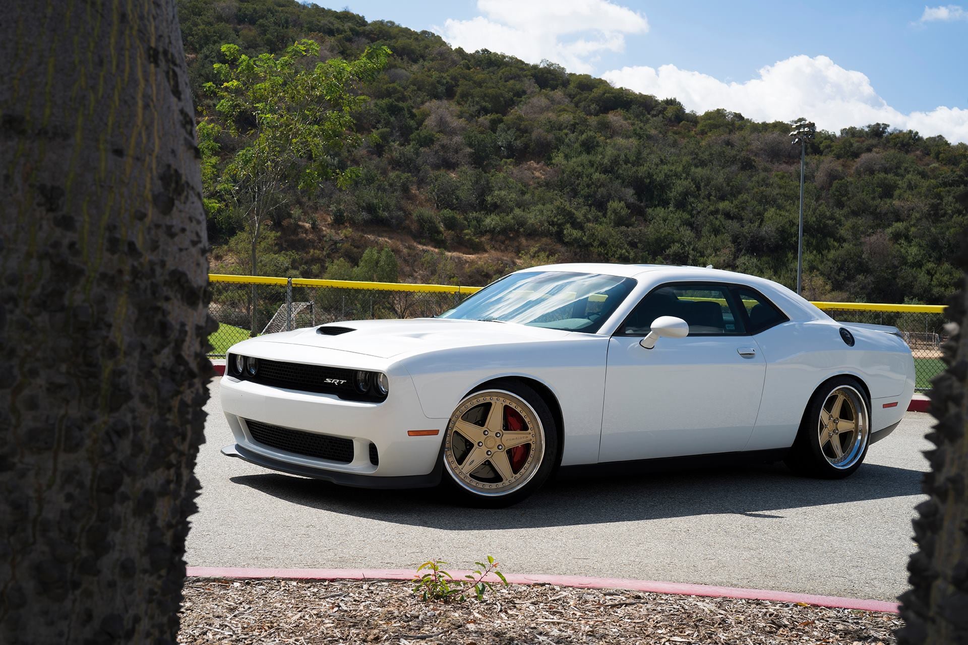 Unique Bronze Forgiato Wheels Enhancing White Dodge Challenger | CARiD ...