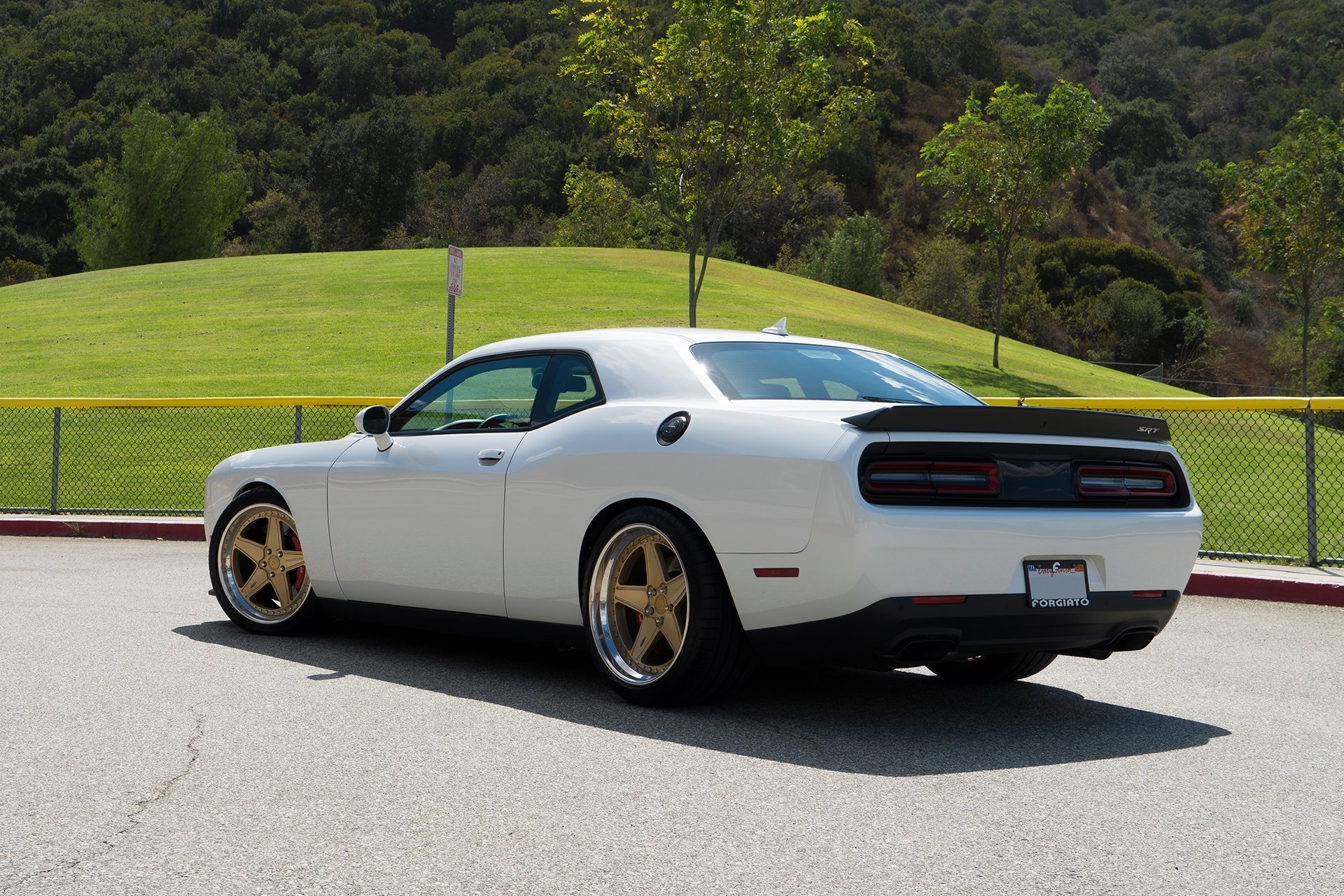 Unique Bronze Forgiato Wheels Enhancing White Dodge Challenger | CARiD ...