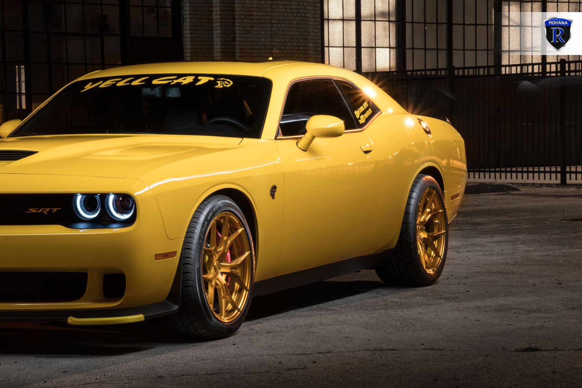 Yellow Cat: Cool Tuning for Dodge Challenger | CARiD.com Gallery