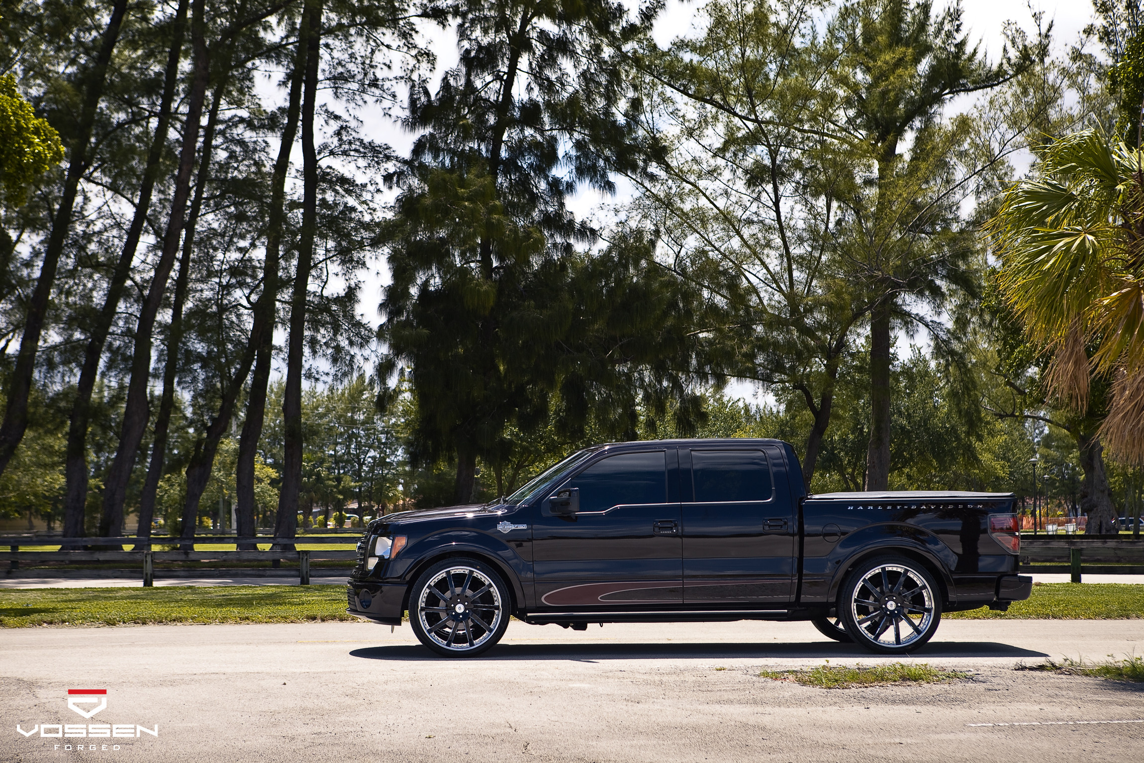 Slightly Modifed Black Ford F-150 on Forged Vossen Rims | CARiD.com Gallery