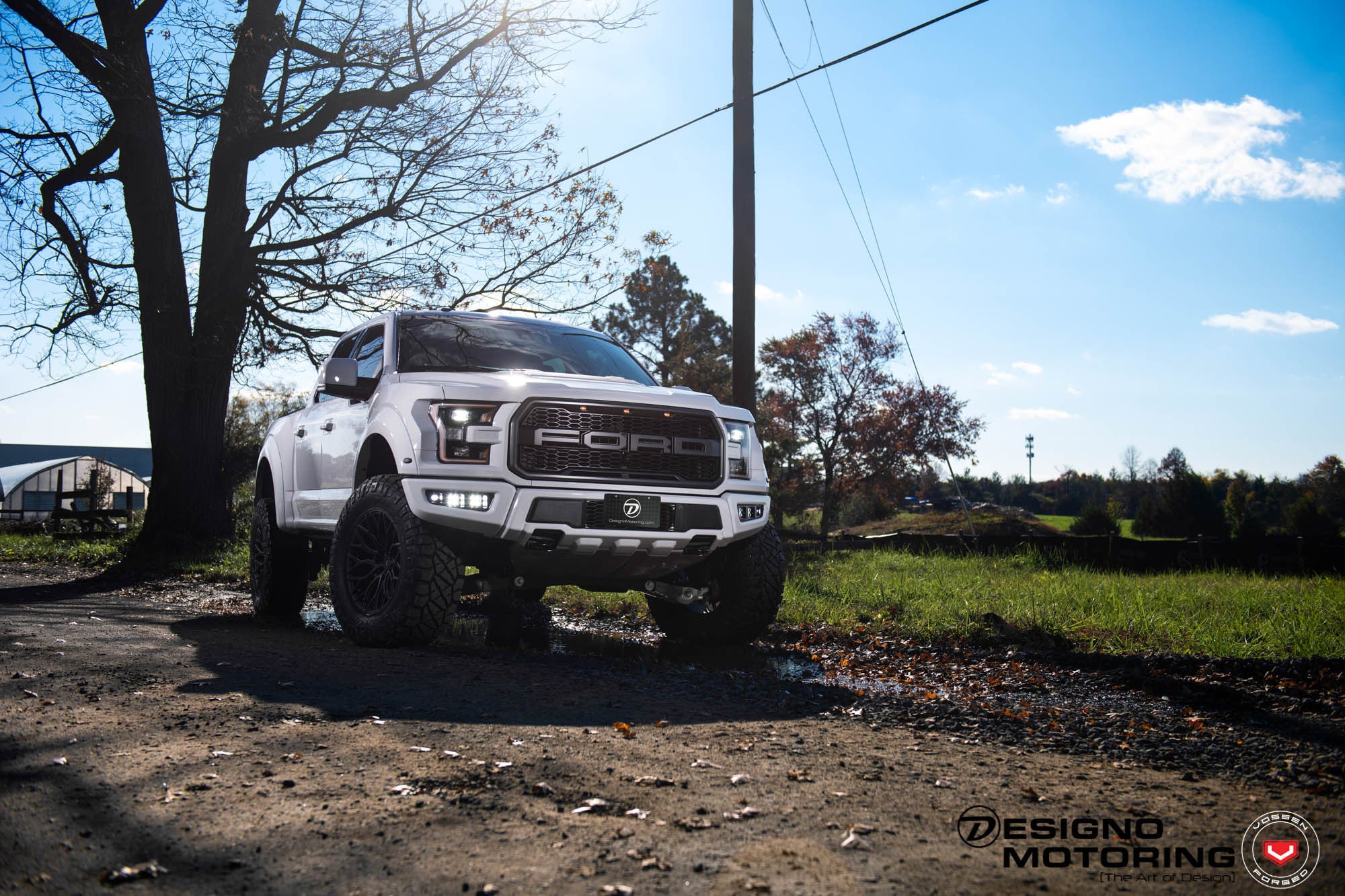 Custom Elements Highlight Dramatic Appearance of Lifted Ford F-150 ...