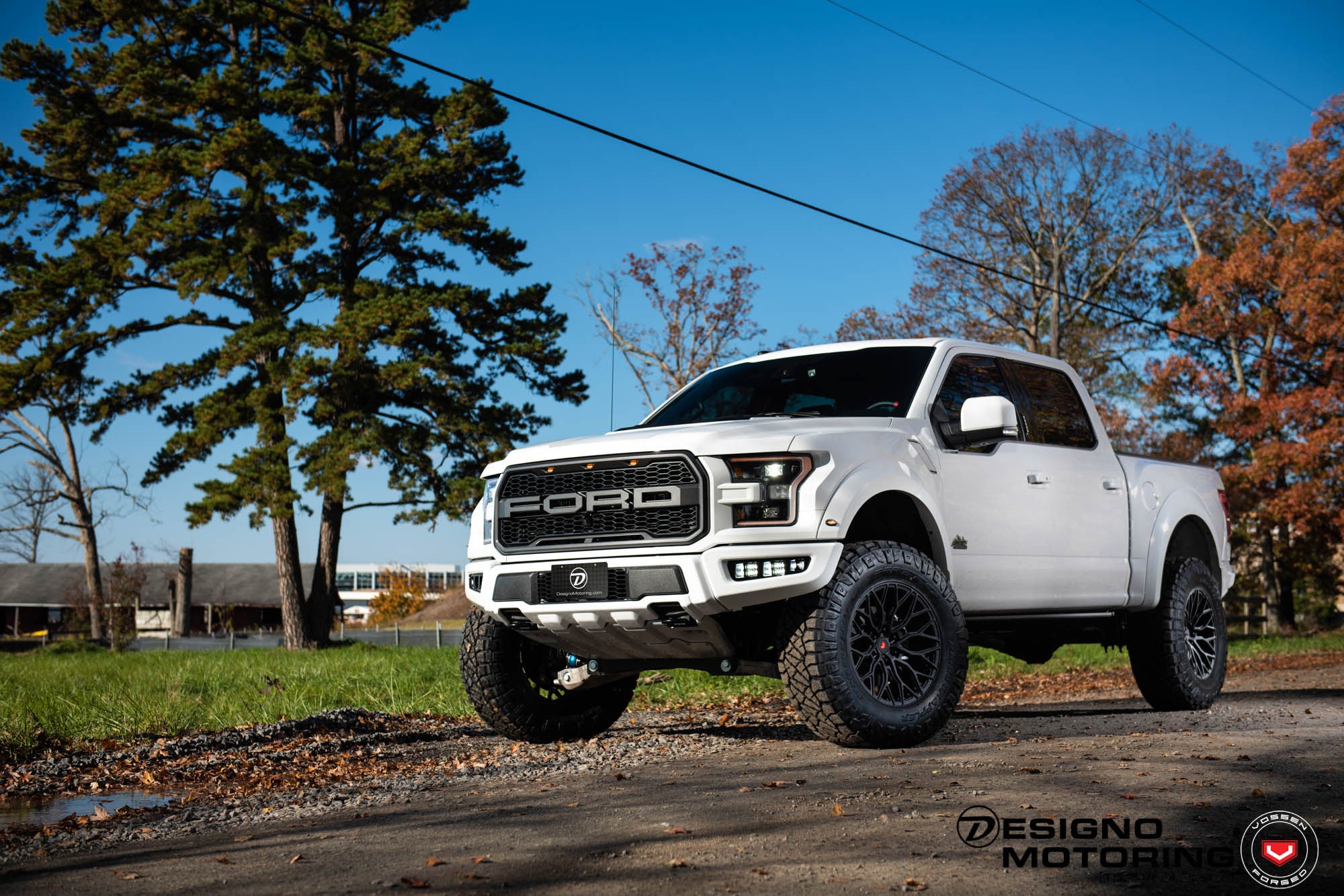 Custom Elements Highlight Dramatic Appearance of Lifted Ford F-150 ...