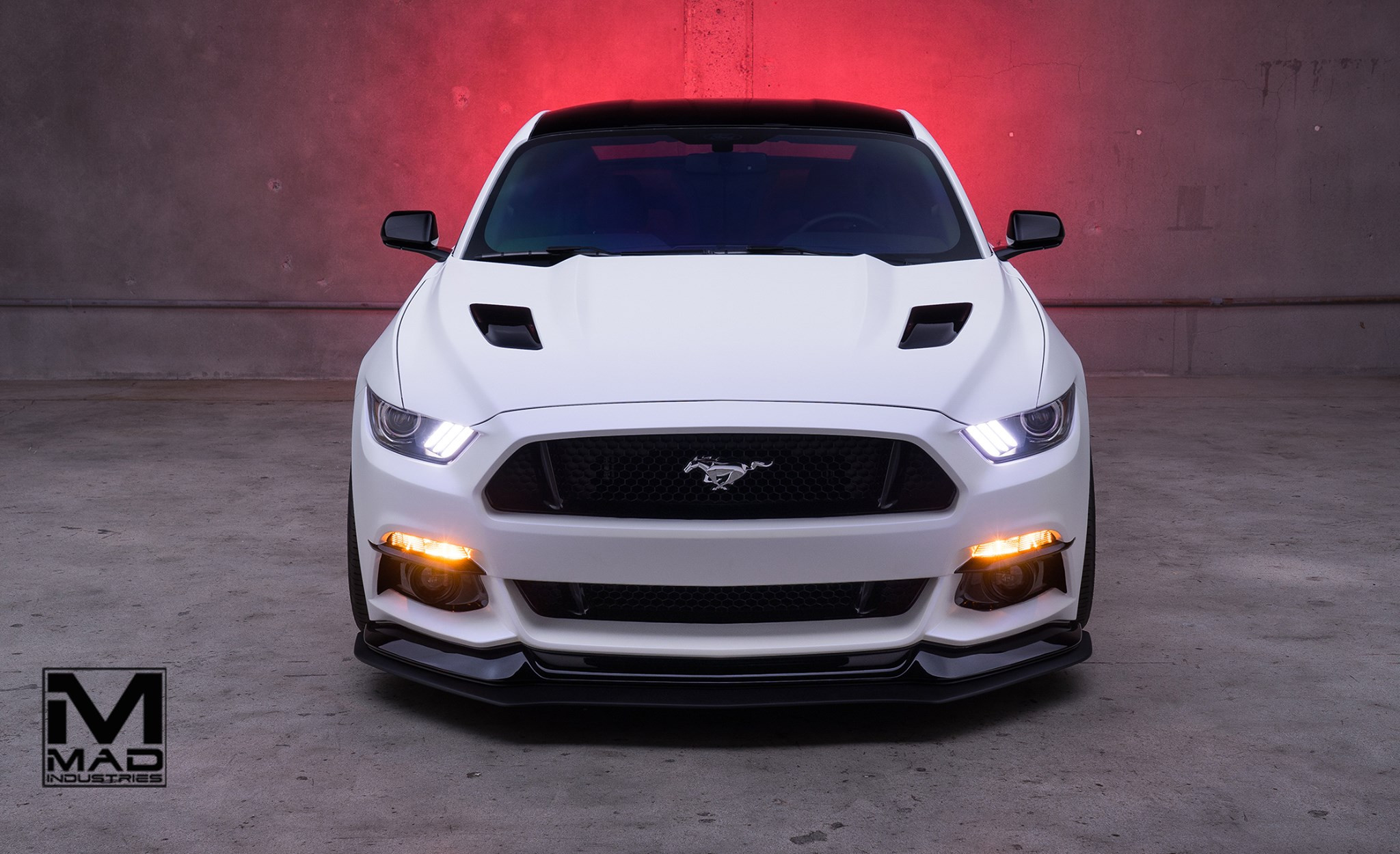 Mustang GT Stanced on Red Custom Painted Rotiform Rims | CARiD.com Gallery
