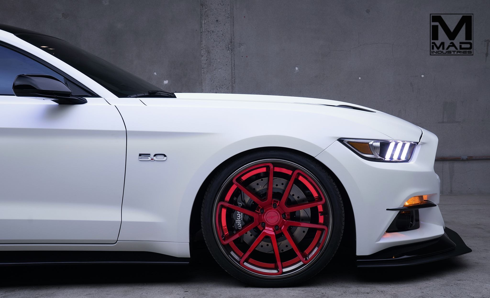 Mustang GT Stanced on Red Custom Painted Rotiform Rims | CARiD.com Gallery