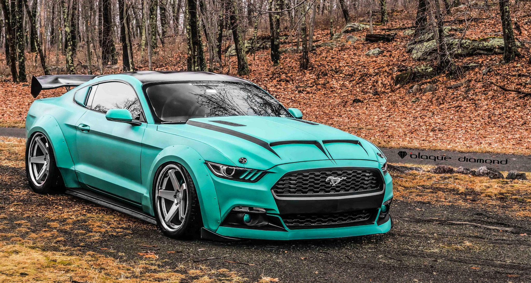 Slammed Mustang