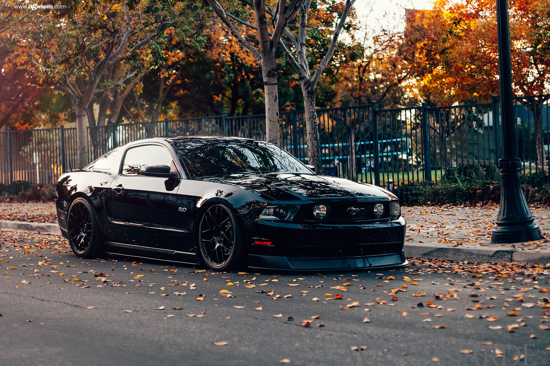 Stealthy Black Stanced Ford Mustang 5.0 Customized to Impress | CARiD ...