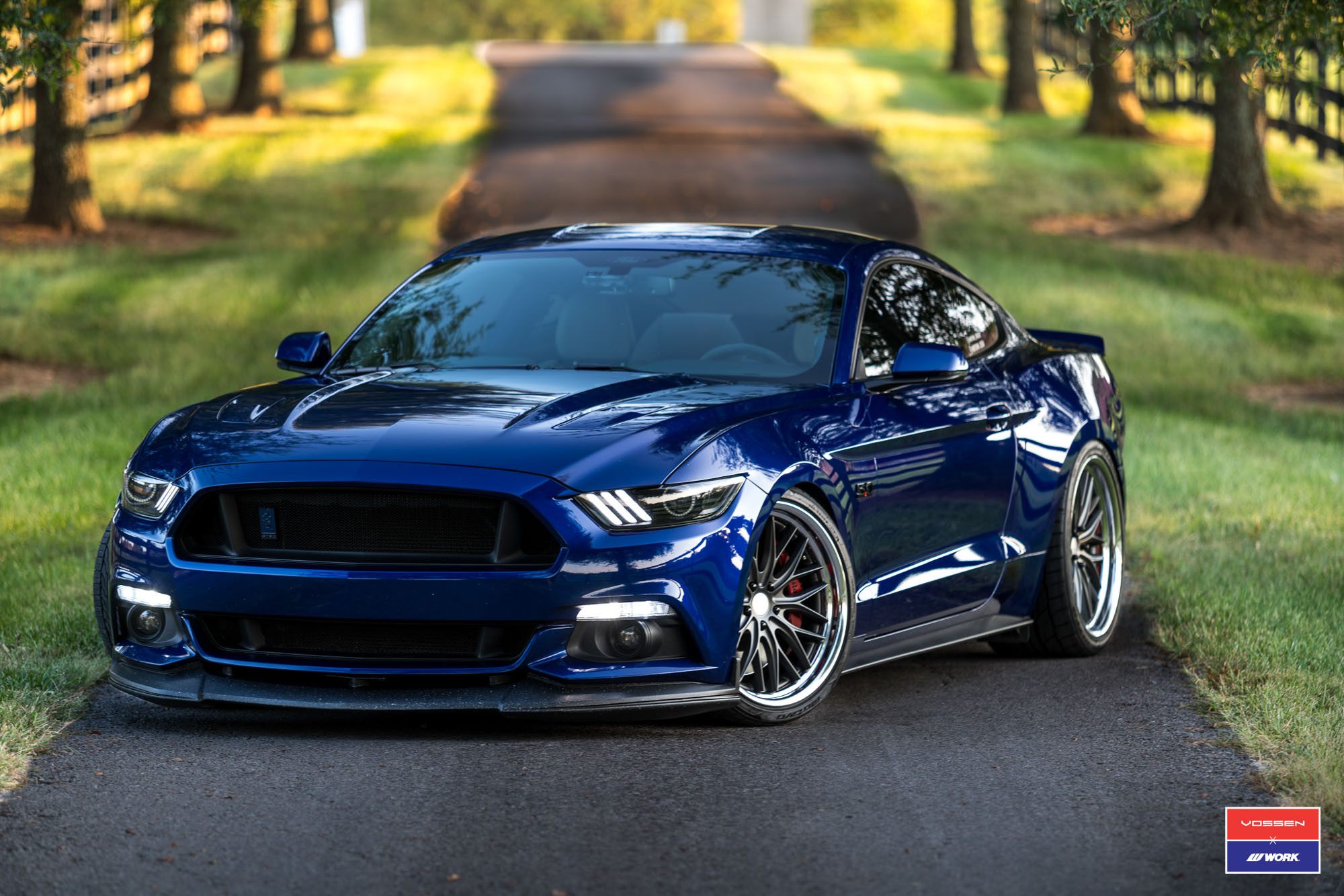 Blue Ford Mustang 5.0 Filling Some Big Shoes | CARiD.com Gallery