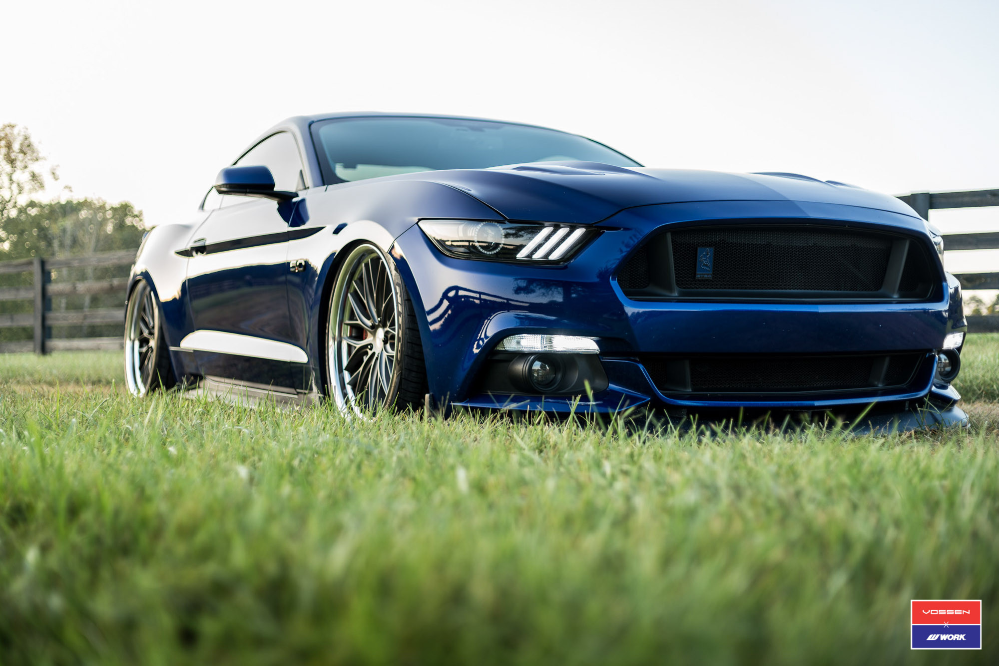 Blue Ford Mustang 5.0 Filling Some Big Shoes | CARiD.com Gallery