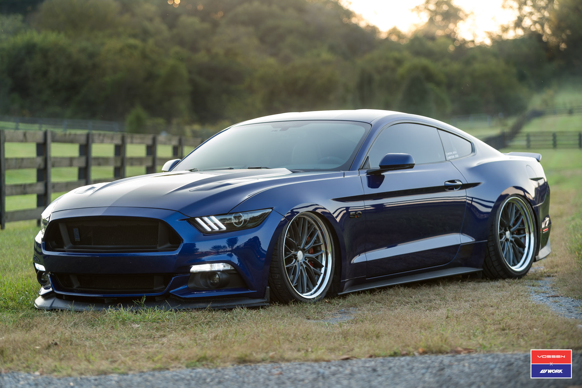 Blue Ford Mustang 5.0 Filling Some Big Shoes | CARiD.com Gallery