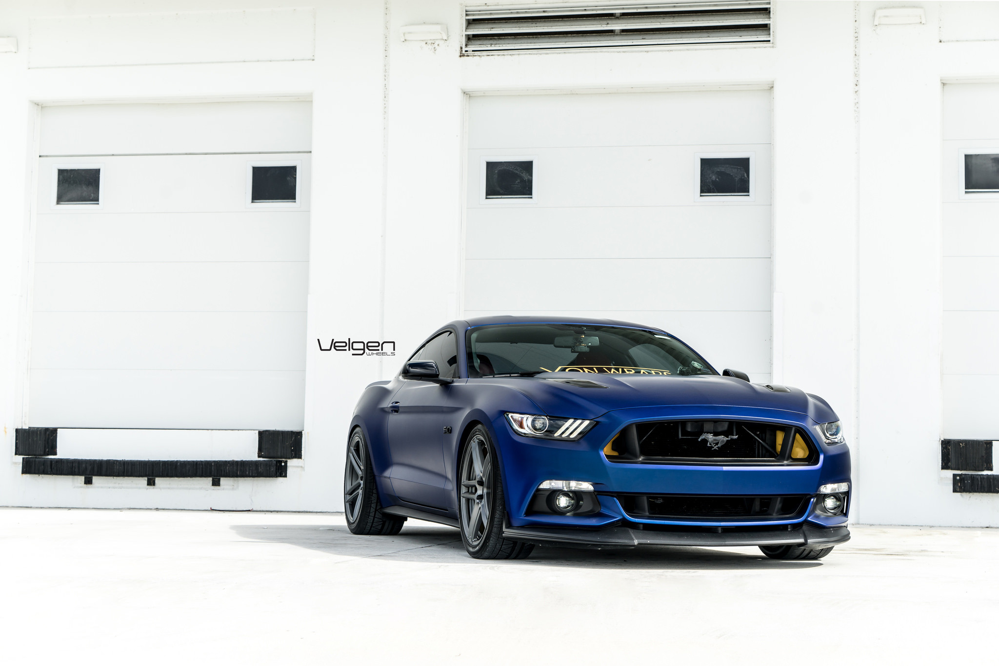 Blue Mustang Personalized with Von Wraps | CARiD.com Gallery