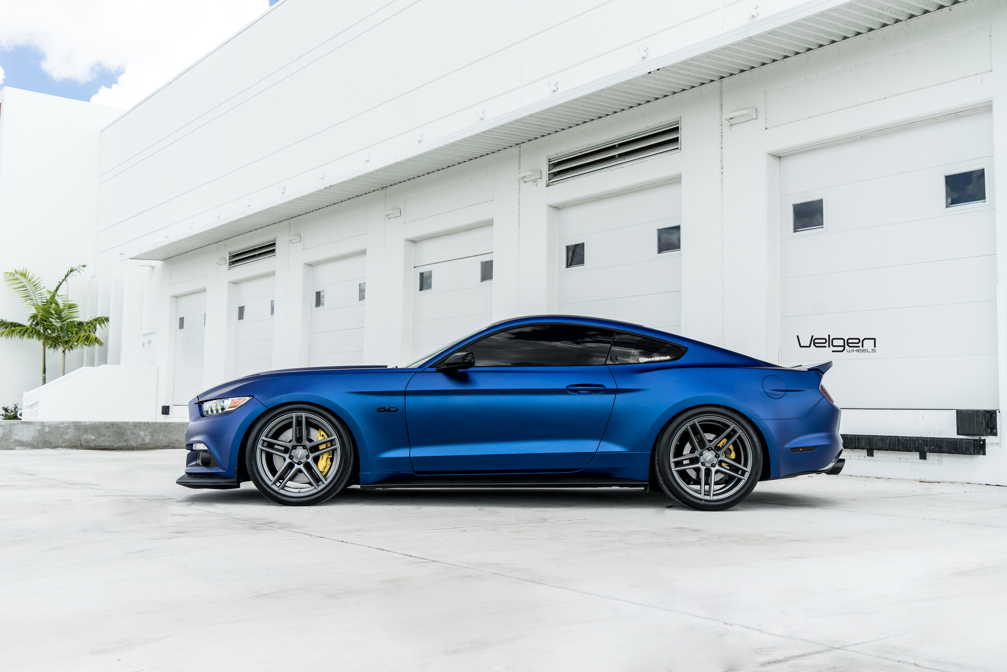 Blue Mustang Personalized with Von Wraps | CARiD.com Gallery