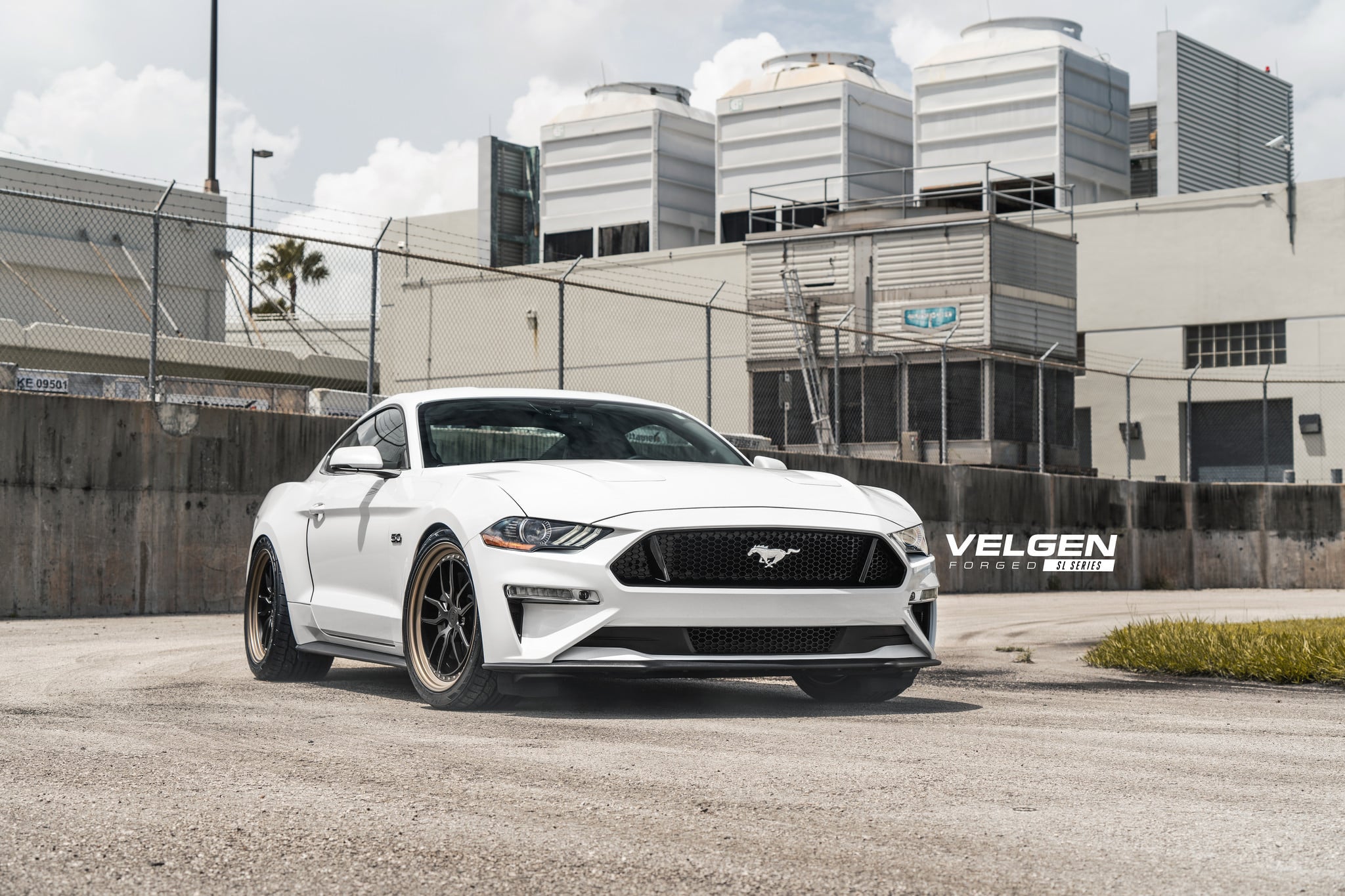 White Ford Mustang With a Freshened Exterior | CARiD.com Gallery