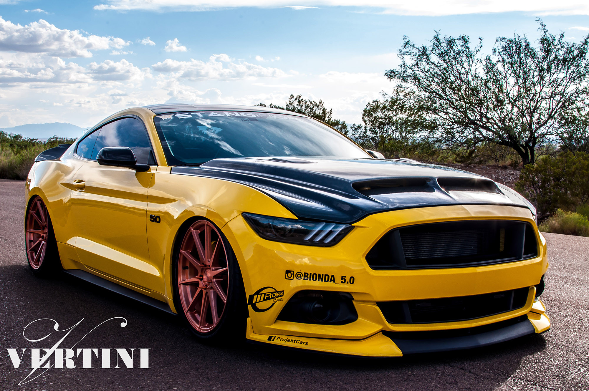 Yellow Ford Mustang Gone Wild With Contrasting Black Accents | CARiD ...