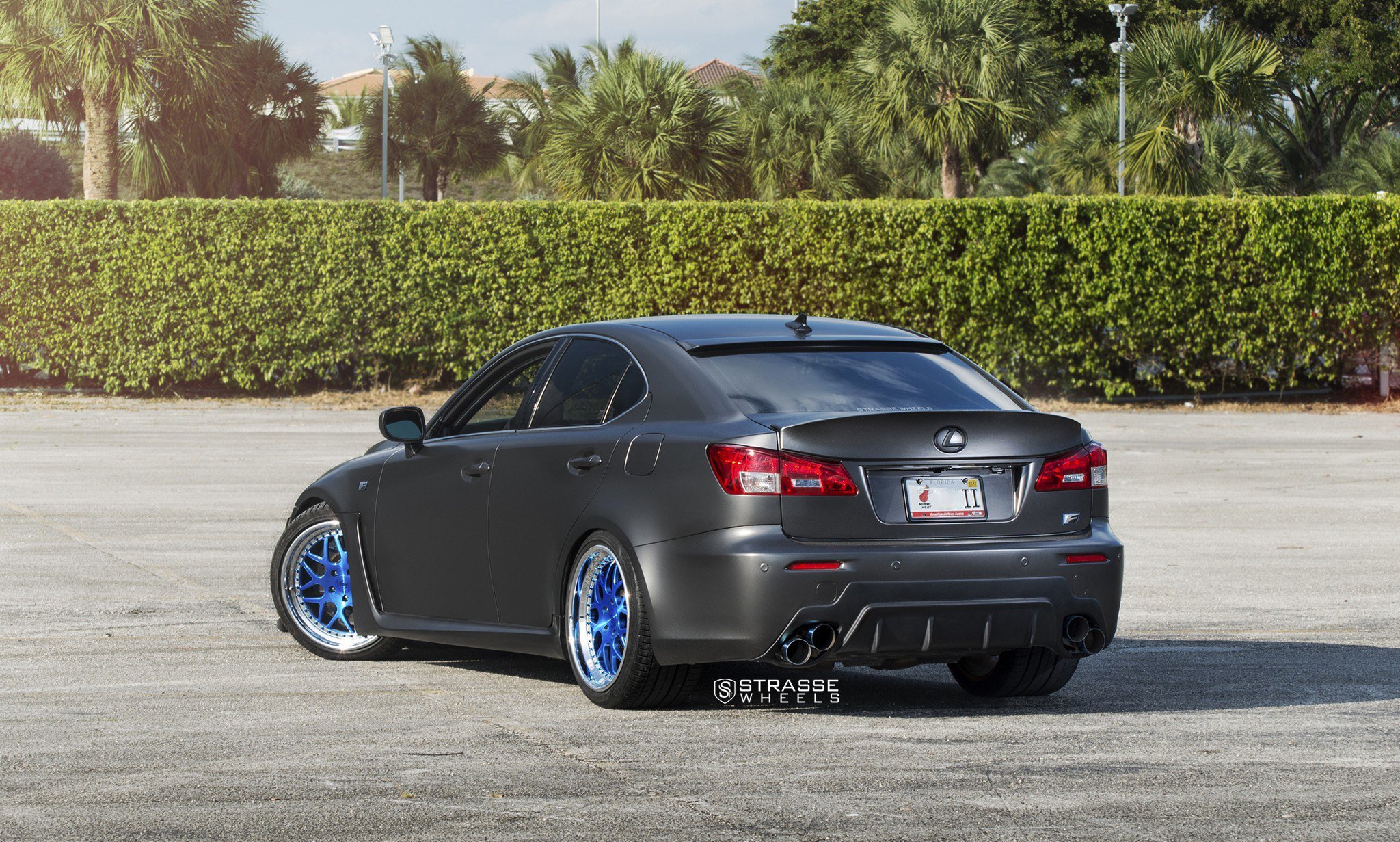 Matte Lexus IS Wearing Mesh Grille and Rims Customized Beyond ...